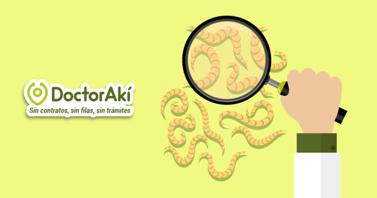 Oxiuros: Qué es, Tipos, Signos y Causas | DoctorAkí